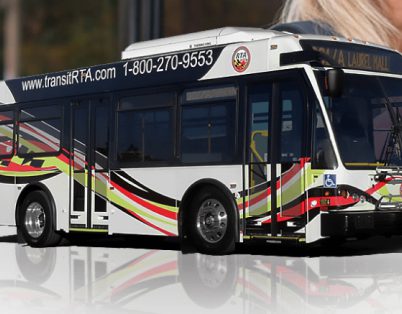 E-Z RIDER II - City-View